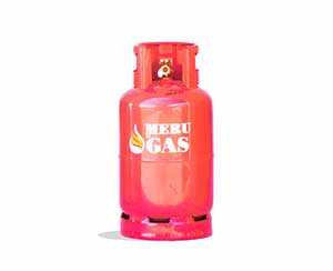 Avectime.com: Mount Meru Cooking Gas Cylinder